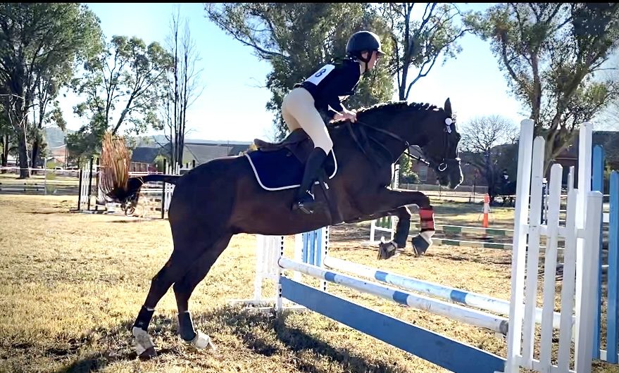 North West Equestrian Expo - Home